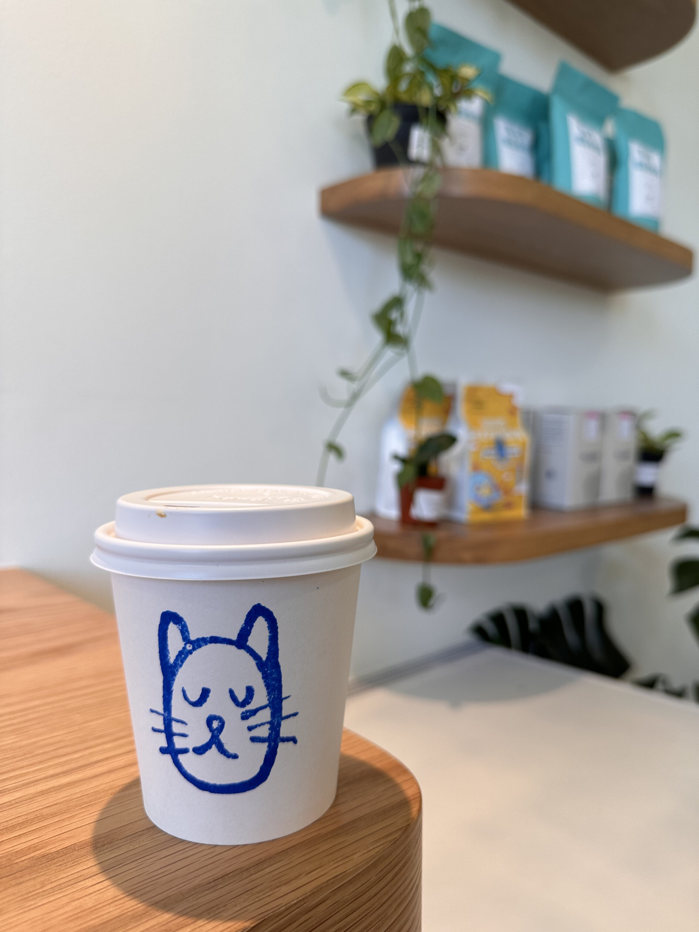 Must Try Latte Spots in Southern California - Southern California FOMO